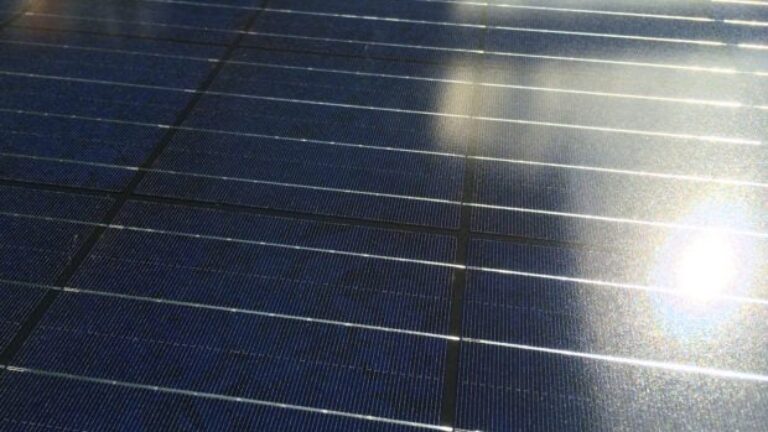 Statement Opposing Forced Labor in Solar Panel Manufacturing in ...
