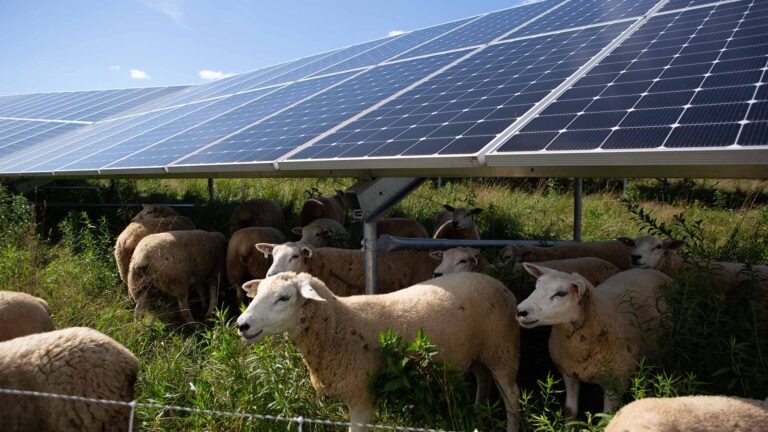 Starting a community solar project in your community: Community-led ...
