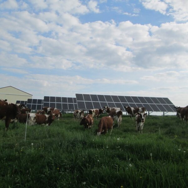 Rural Energy for America Program (REAP) - Solar United Neighbors